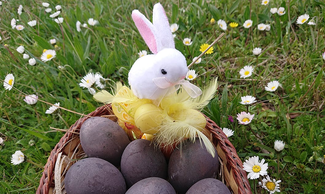 Velikonočna jajčka v refošku - Znam.si