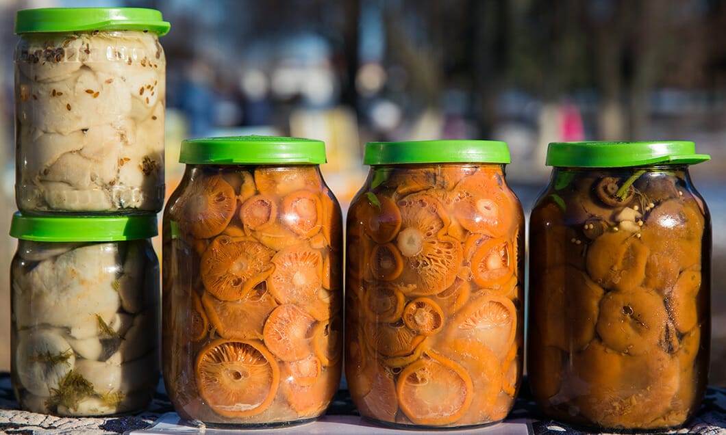 Užitne sirovke v kisu - Znam.si