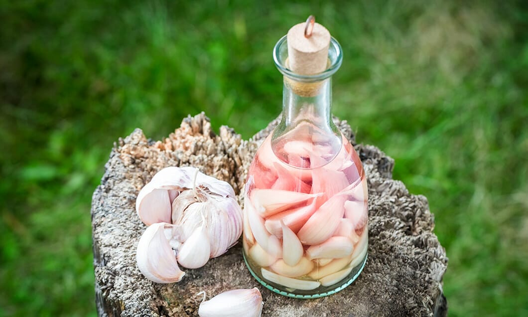 Česnov liker - Znam.si