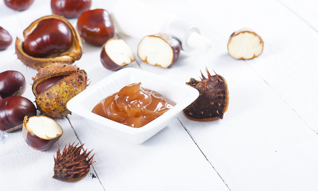 Mazilo iz divjega kostanja - Znam.si